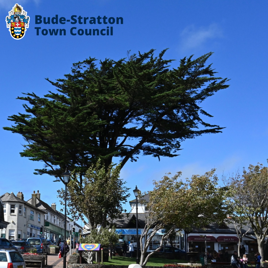 The Triangle Tree - Bude-Stratton Town Council